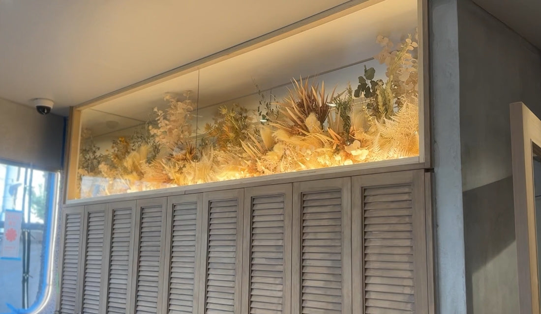 shalu 平塚店 | 植物･造花の店舗ディスプレイ | 空間デザイン･装飾のIROHA D'ECOR