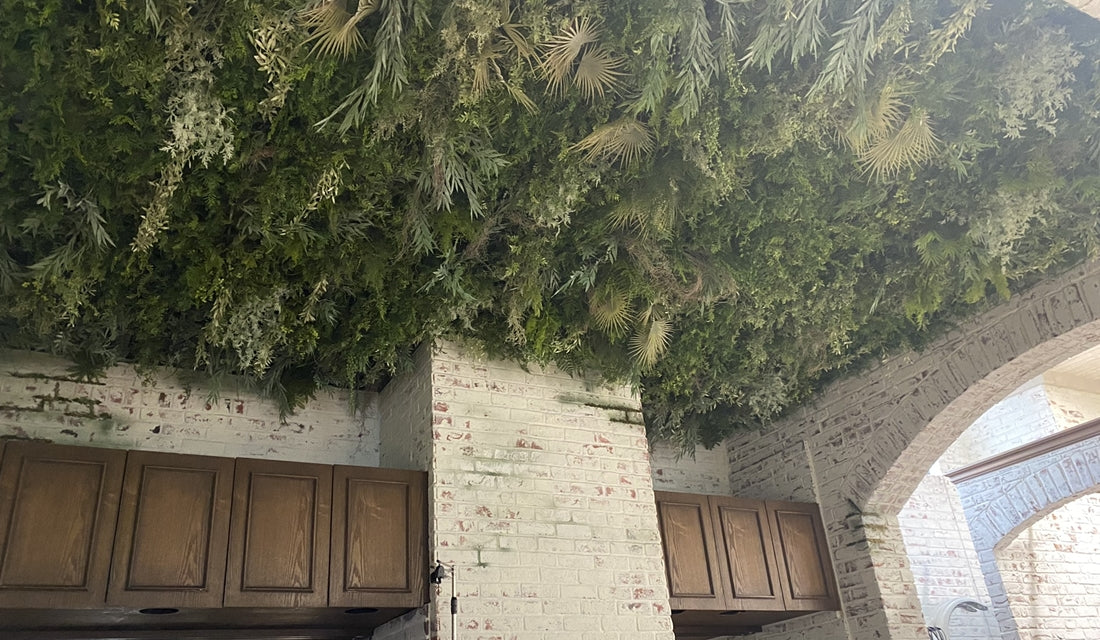 shalu 八王子店 | 植物･造花の店舗ディスプレイ | 空間デザイン･装飾のIROHA D'ECOR