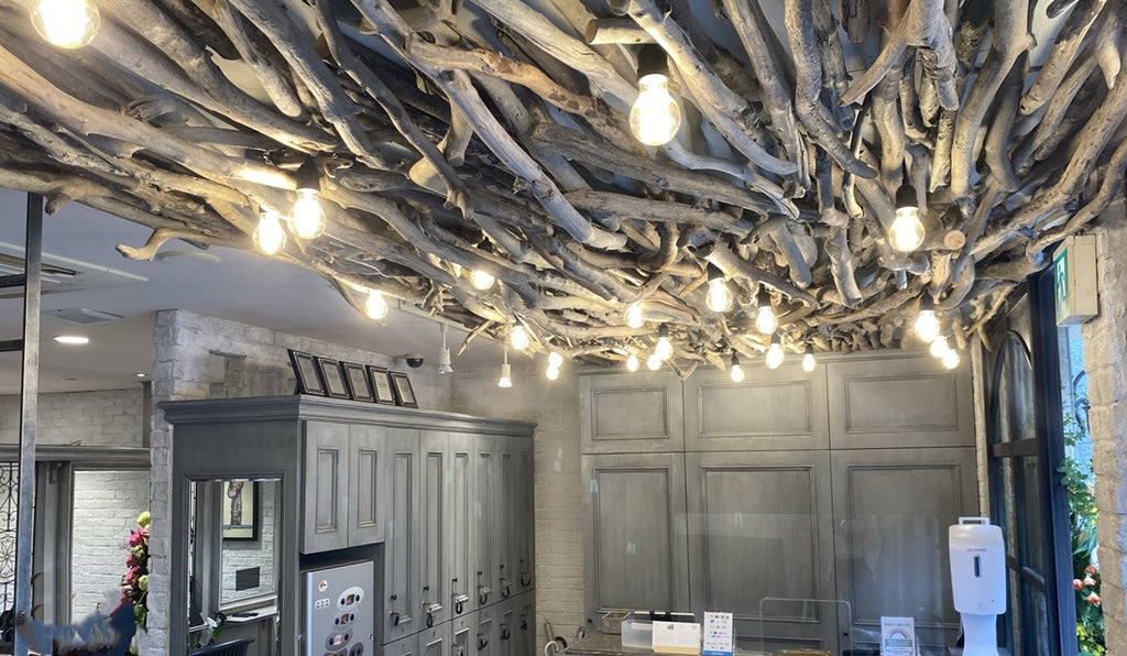 Shalu 錦糸町店 | 植物･造花の店舗ディスプレイ | 空間デザイン･装飾のIROHA D'ECOR
