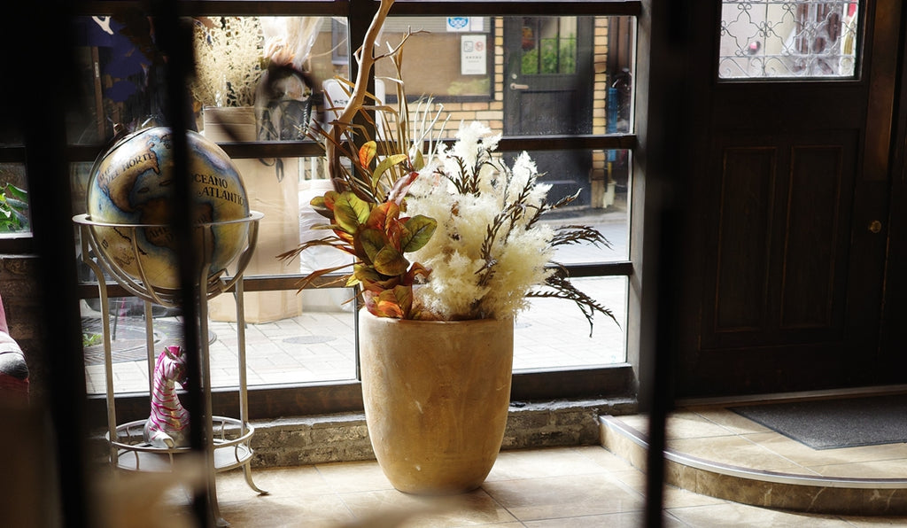 shalu 船橋店 | 植物･造花の店舗ディスプレイ | 空間デザイン･装飾のIROHA D'ECOR