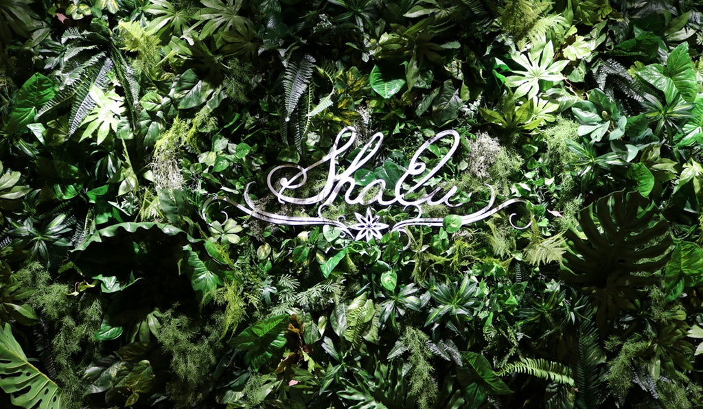 shalu 八王子店 | 植物･造花の店舗ディスプレイ | 空間デザイン･装飾のIROHA D'ECOR