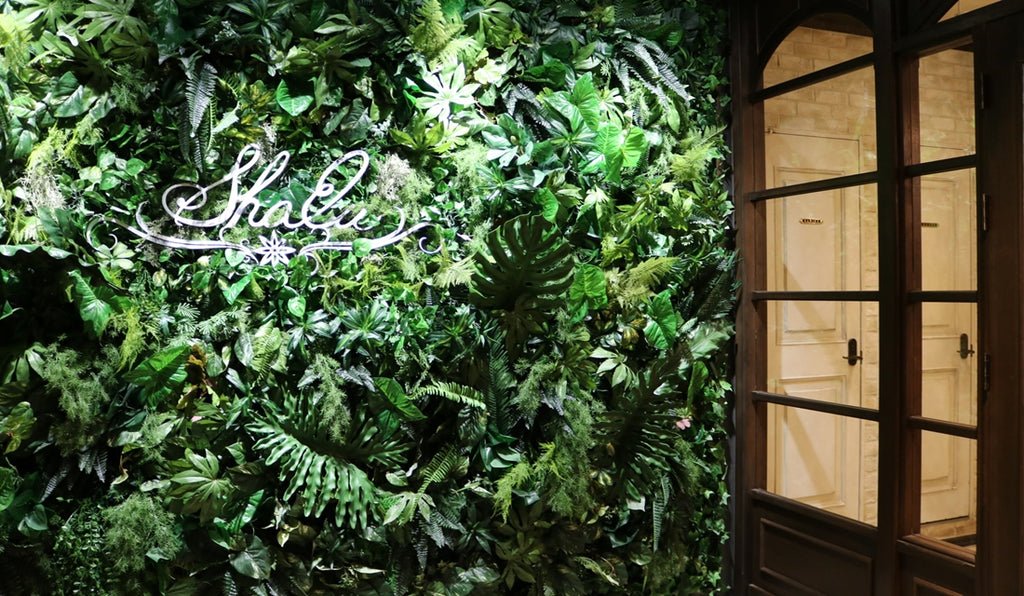 shalu 八王子店 | 植物･造花の店舗ディスプレイ | 空間デザイン･装飾のIROHA D'ECOR
