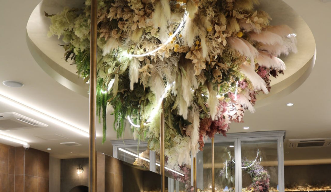 shalu 平塚店 | 植物･造花の店舗ディスプレイ | 空間デザイン･装飾のIROHA D'ECOR