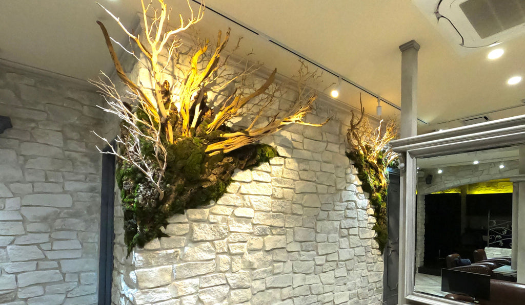 shalu 辻堂店 | 植物･造花の店舗ディスプレイ | 空間デザイン･装飾のIROHA D'ECOR
